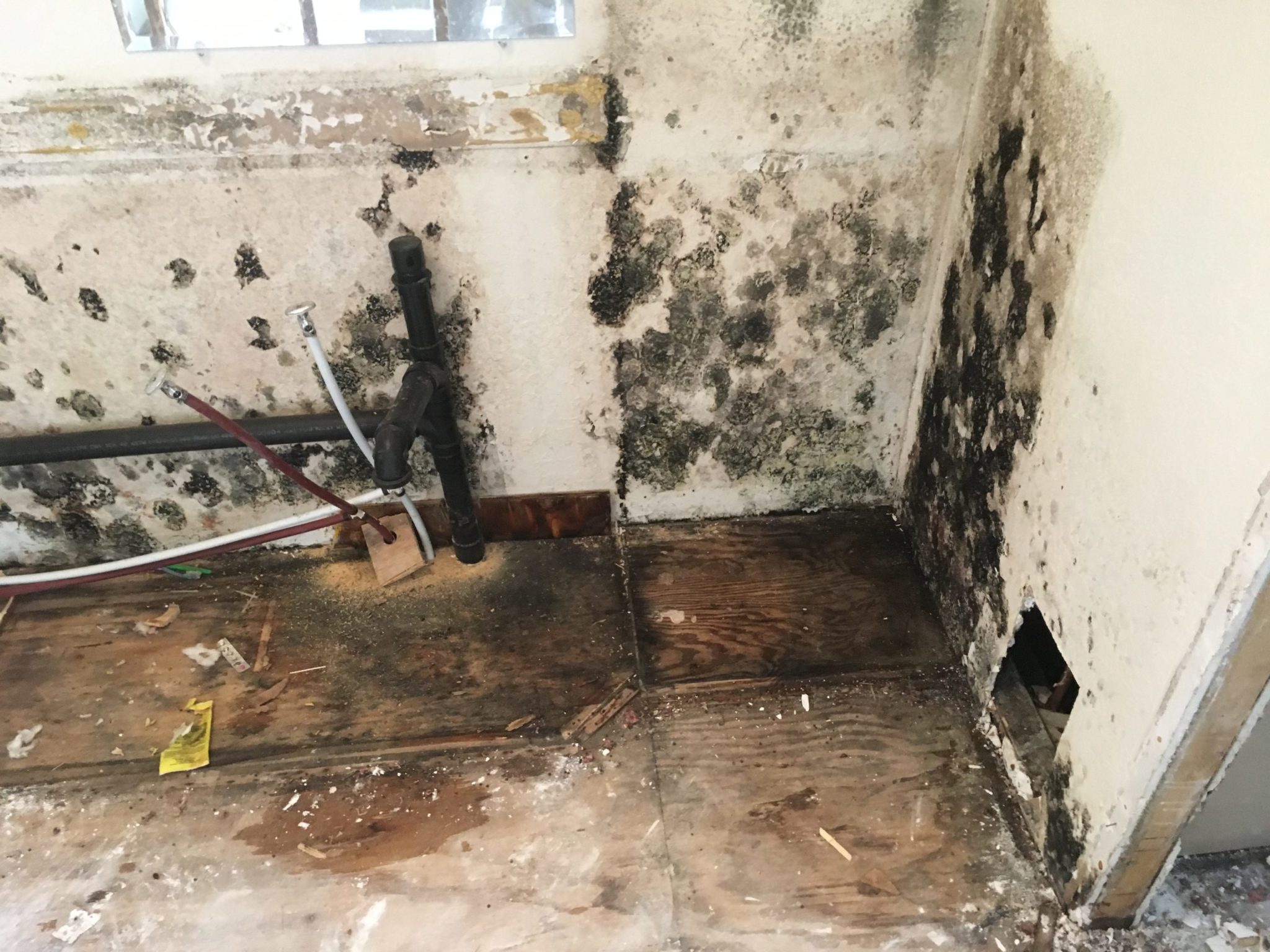 Mold abatement in Orange County - Tip Top Restoration